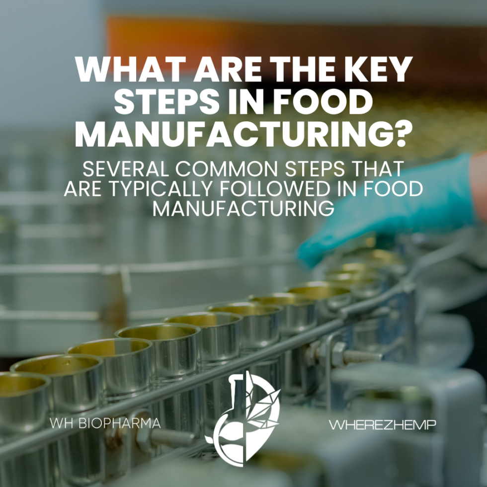 Ensuring Quality and Safety: The Key Steps in Food Manufacturing ...