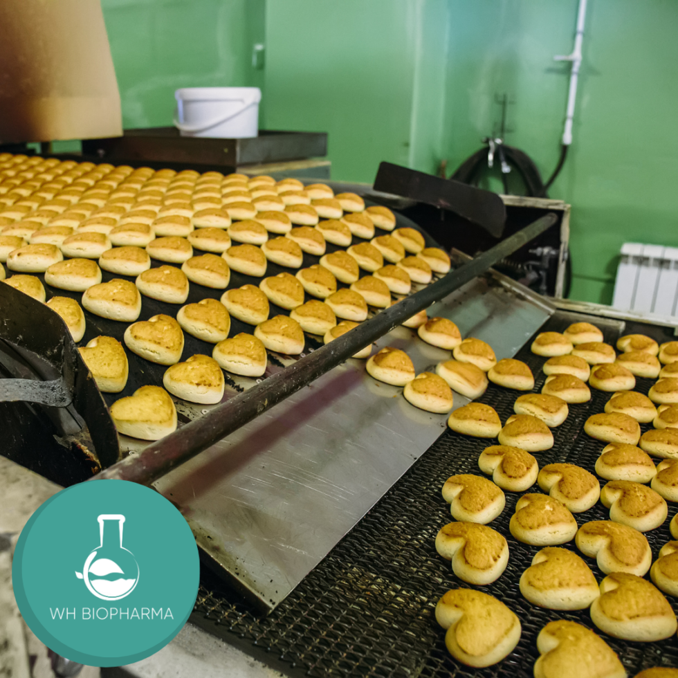 Food Processing vs. Food Manufacturing: Key Differences Explained ...