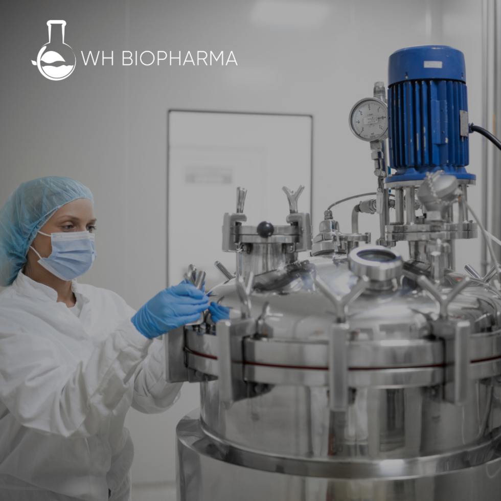 The Intersection of Biotechnology and Manufacturing Processes - Wherez ...
